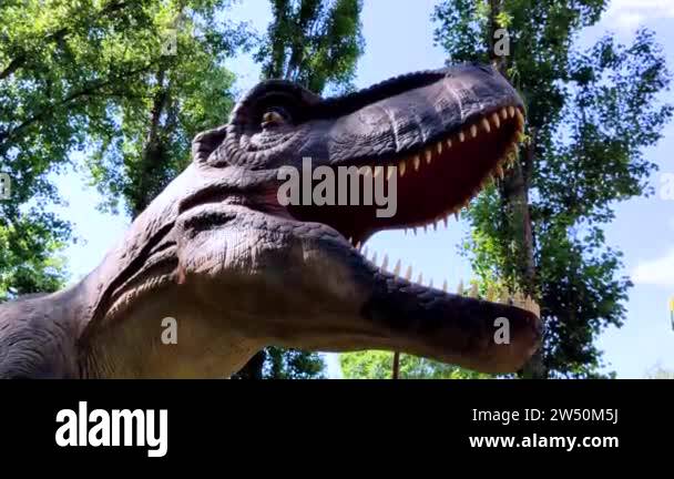 Species of dinosaurs Stock Videos & Footage - HD and 4K Video Clips - Alamy