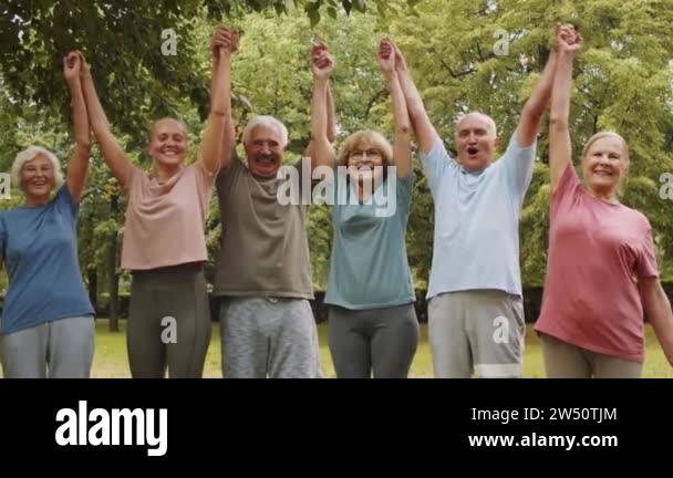 Group of people holding arms up Stock Videos & Footage - HD and 4K ...