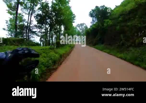 tarmac road covered with dense green forest isolated image is showing ... tarmac road covered with dense green forest isolated image is showing ...