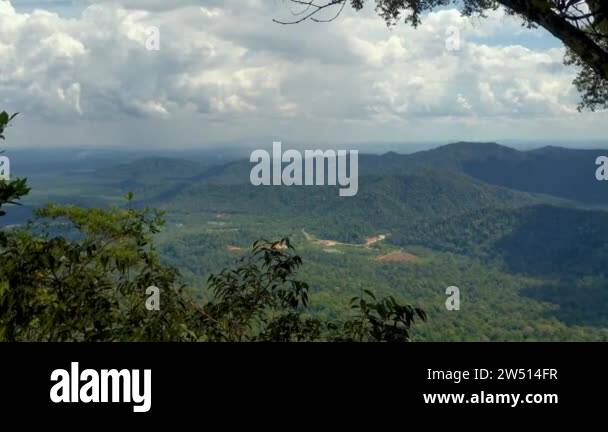Panorama of tropical rainforest mountains at Gunung Panti, Malaysia ...