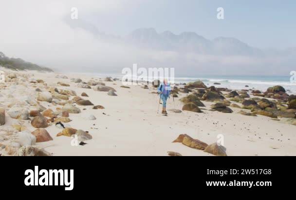 Beach trekking Stock Videos & Footage - HD and 4K Video Clips - Alamy