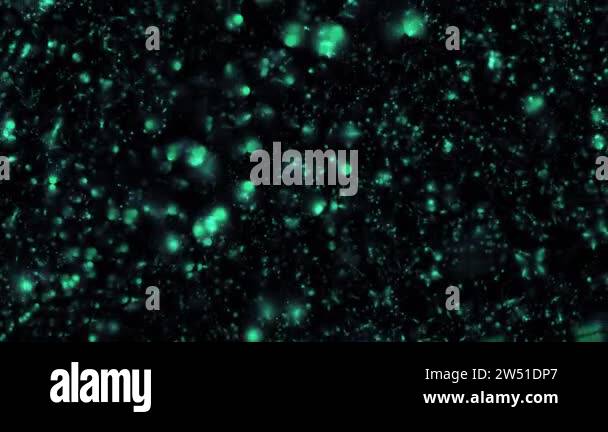 Radioactive radiation Stock Videos & Footage - HD and 4K Video Clips ...