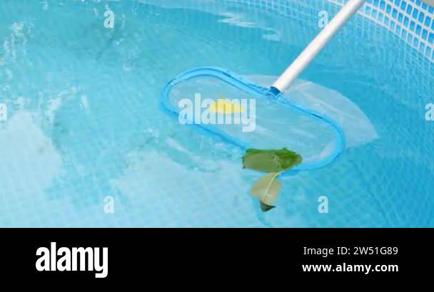 Cleaning a swimming pool with a mesh skimmer . The long net cleans ...