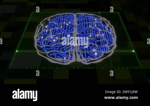 Circuits brain Stock Videos & Footage - HD and 4K Video Clips - Alamy