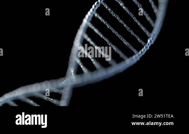 Rotating DNA chain - deoxyribonucleic acid on black black background ...