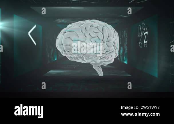 Animation of rotating human brain scanning with equations and ...
