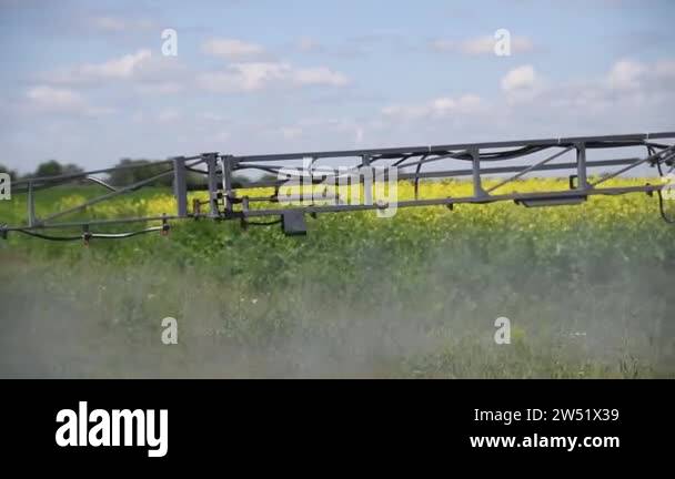 Mustard processing Stock Videos & Footage - HD and 4K Video Clips - Alamy