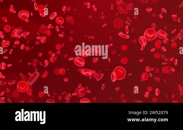 Red blood cells in Artery Flow inside body, medical human health care ...