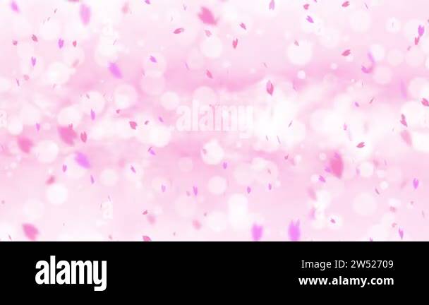 Colorful bright petals swinging in spring background with sun flares ...