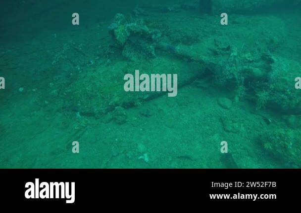 Long Lance torpedoes in the hold of a sunken Japanese cargo ship in ...