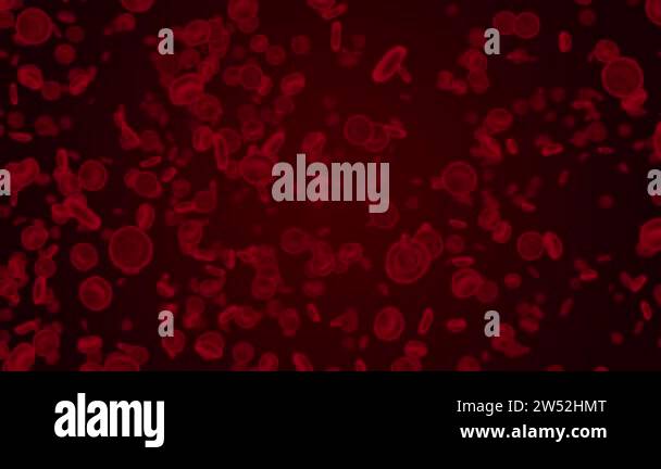 Red blood cell flowing in vein or artery 4K 3D Alpha Channel loop ...