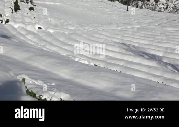 Snowy winter landscape in the Black Sea region in Rize Turkey. Snow on ...