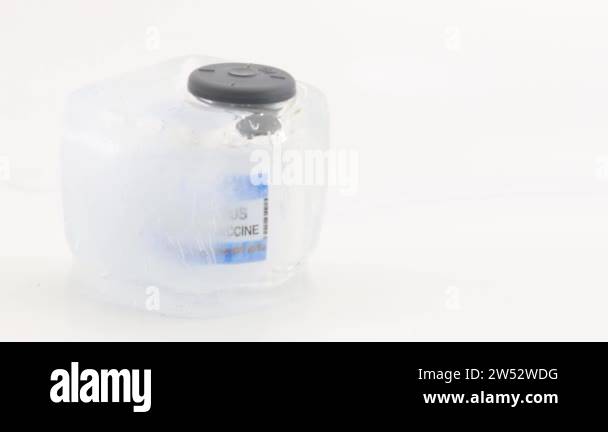 Slowly melting ice cube with COVID dose vaccine frozen inside Concept ...