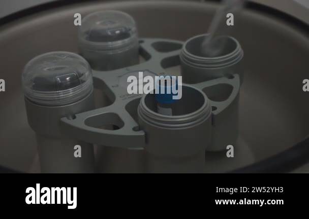 Test tubes are getting inserted into a biochemical analyzer by a lab ...