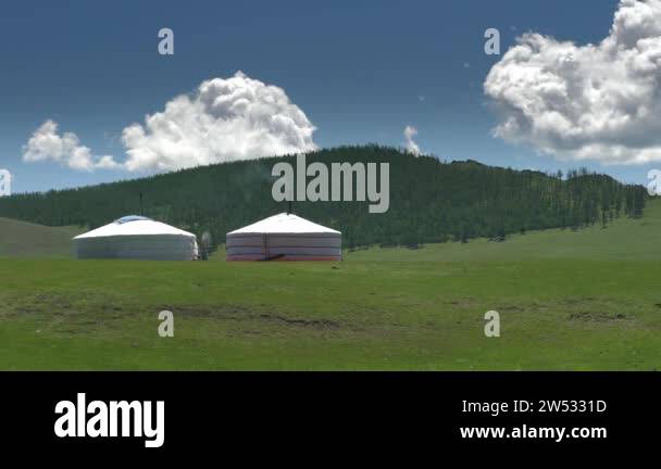 Mongolian Tents in the Forest and Green Meadows.A traditional yurt or ...