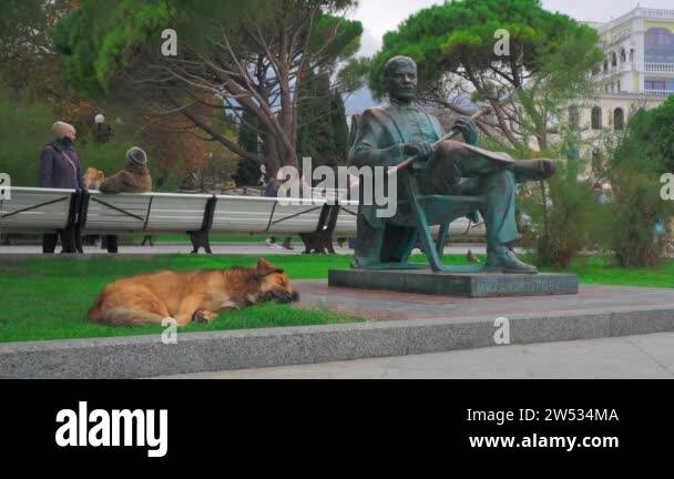 Dog breed holland Stock Videos & Footage - HD and 4K Video Clips - Alamy