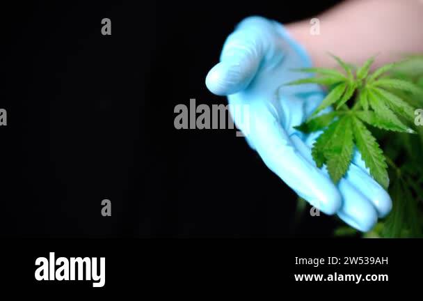 Special means Stock Videos & Footage - HD and 4K Video Clips - Alamy