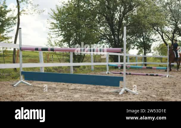 Jockey On Her Bay Horse Jumping Over The Obstacles Pole Knocked By The ...