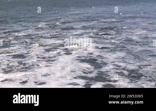 Water pollution. Dirty water from treatment plants flows through a pipe ...