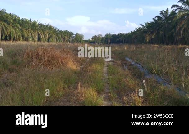 Fallow land Stock Videos & Footage - HD and 4K Video Clips - Alamy