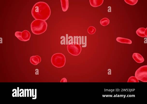 Blood Cells Flowing Slowly Inside Human Vein With Small Particles 4K 3D ...