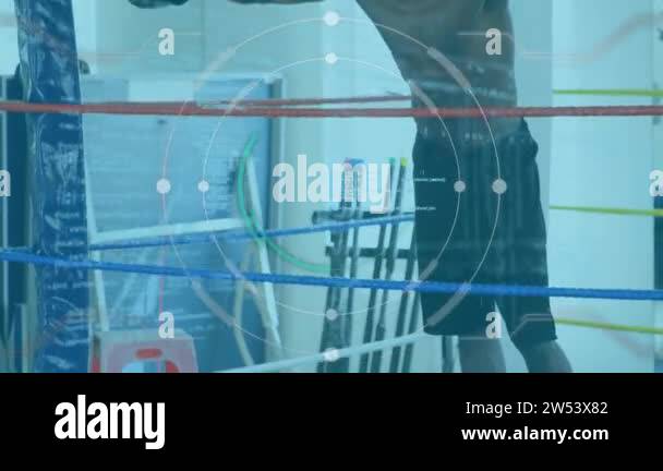 Animation of digital interface with statistics recording and data ...