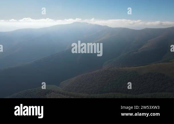 Green tree scape Stock Videos & Footage - HD and 4K Video Clips - Alamy