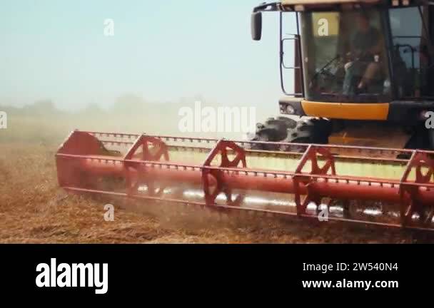 Man reaping wheat Stock Videos & Footage - HD and 4K Video Clips - Alamy