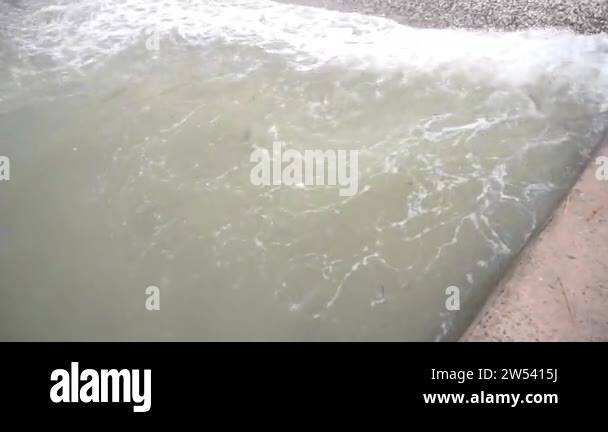 Sea shell wave Stock Videos & Footage - HD and 4K Video Clips - Alamy