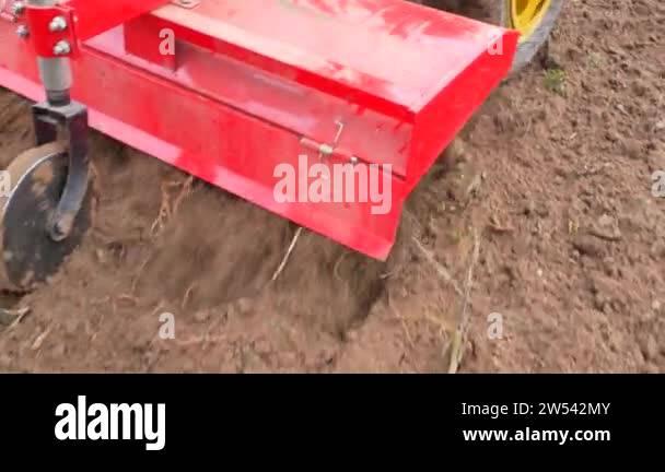 Processing a farm field with a walk behind tractor. Land cultivation ...