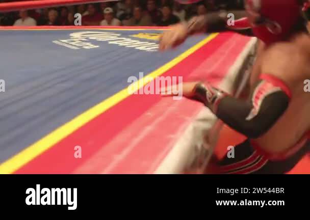 Ringside at the famous lucha libre mexican wrestling at arena mexico ...