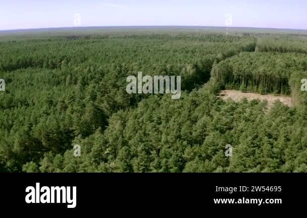 Tilt-Down Shot Above A Two Lane Road In The Middle Of The Green Forest ...