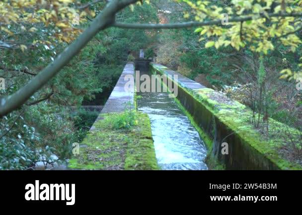 Biwa sign Stock Videos & Footage - HD and 4K Video Clips - Alamy
