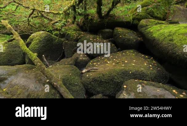 The Toul Goulic gorge, Cotes d Armor department, Brittany in France ...