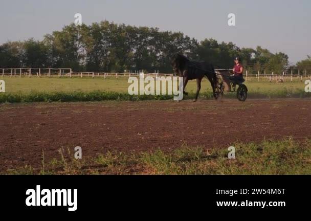 Jockey sulky cart race Stock Videos & Footage - HD and 4K Video Clips ...