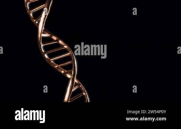 Abstract metallic glittering golden DNA double helix rotating with ...