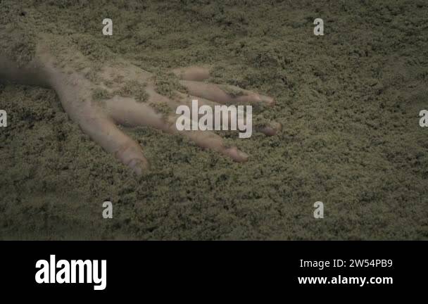 Hand buried in sand Stock Videos & Footage - HD and 4K Video Clips - Alamy