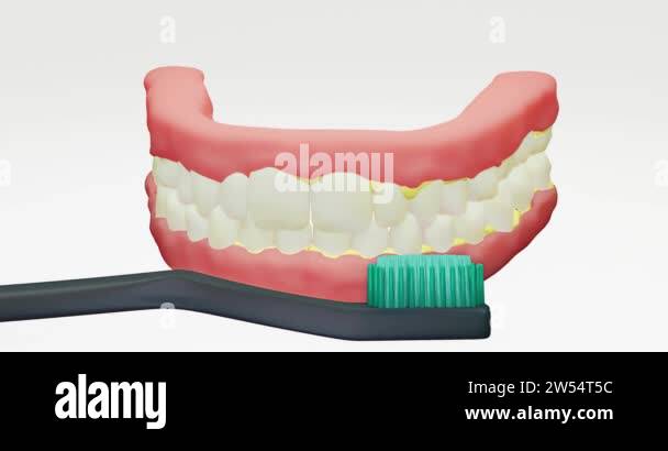 3d animation stylized teeth, jaw, mouth brushing teeth, getting rid of ...