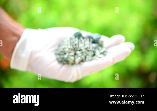 Trichoderma cells Stock Videos & Footage - HD and 4K Video Clips - Alamy