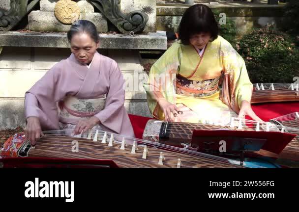 Japanese women playing koto Stock Videos & Footage - HD and 4K Video ...