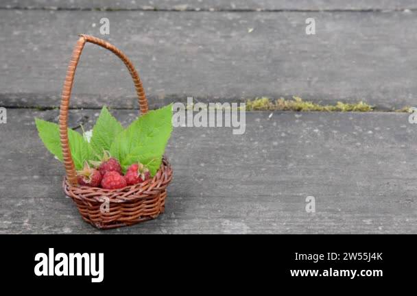 Berries raspberry on leaves Stock Videos & Footage - HD and 4K Video ...