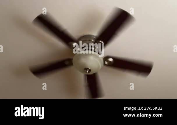 Fan dome Stock Videos & Footage - HD and 4K Video Clips - Alamy
