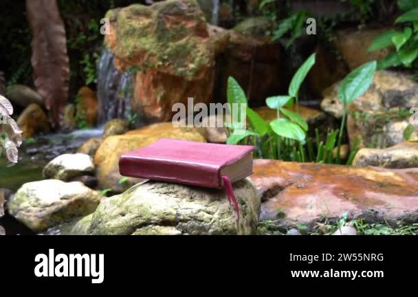 Bible rock Stock Videos & Footage - HD and 4K Video Clips - Alamy