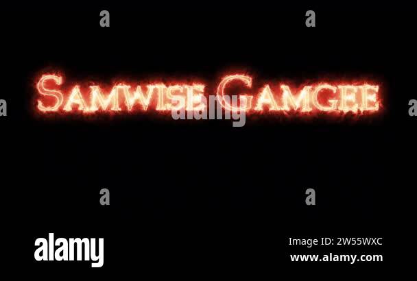 Samwise lord of the rings Stock Videos & Footage - HD and 4K Video ...