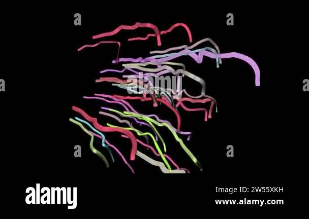 Birthday Confetti Explosion Animation Motion Graphics. With Alpha ...