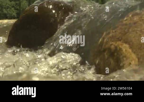 Water flows rapidly through stones and rapids in the forest. Crystal ...