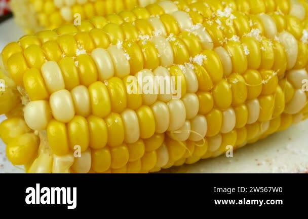 Sweet hot corn sprinkled with salt and melting butter. Grains of salt ...