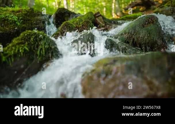 Purest mountain river in the forest. Stream of water moves between the ...
