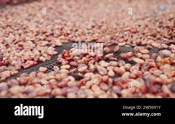 Drying table Stock Videos & Footage - HD and 4K Video Clips - Alamy
