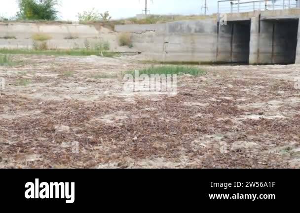 Ecological disaster. cracked soil ground and empty bridge over dried ...
